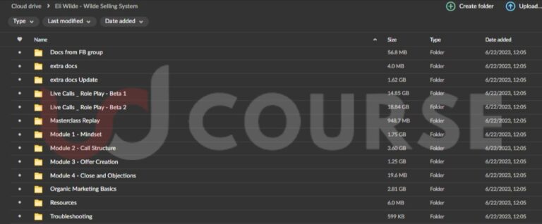 Eli Wilde – Wilde Selling System - Udcourse